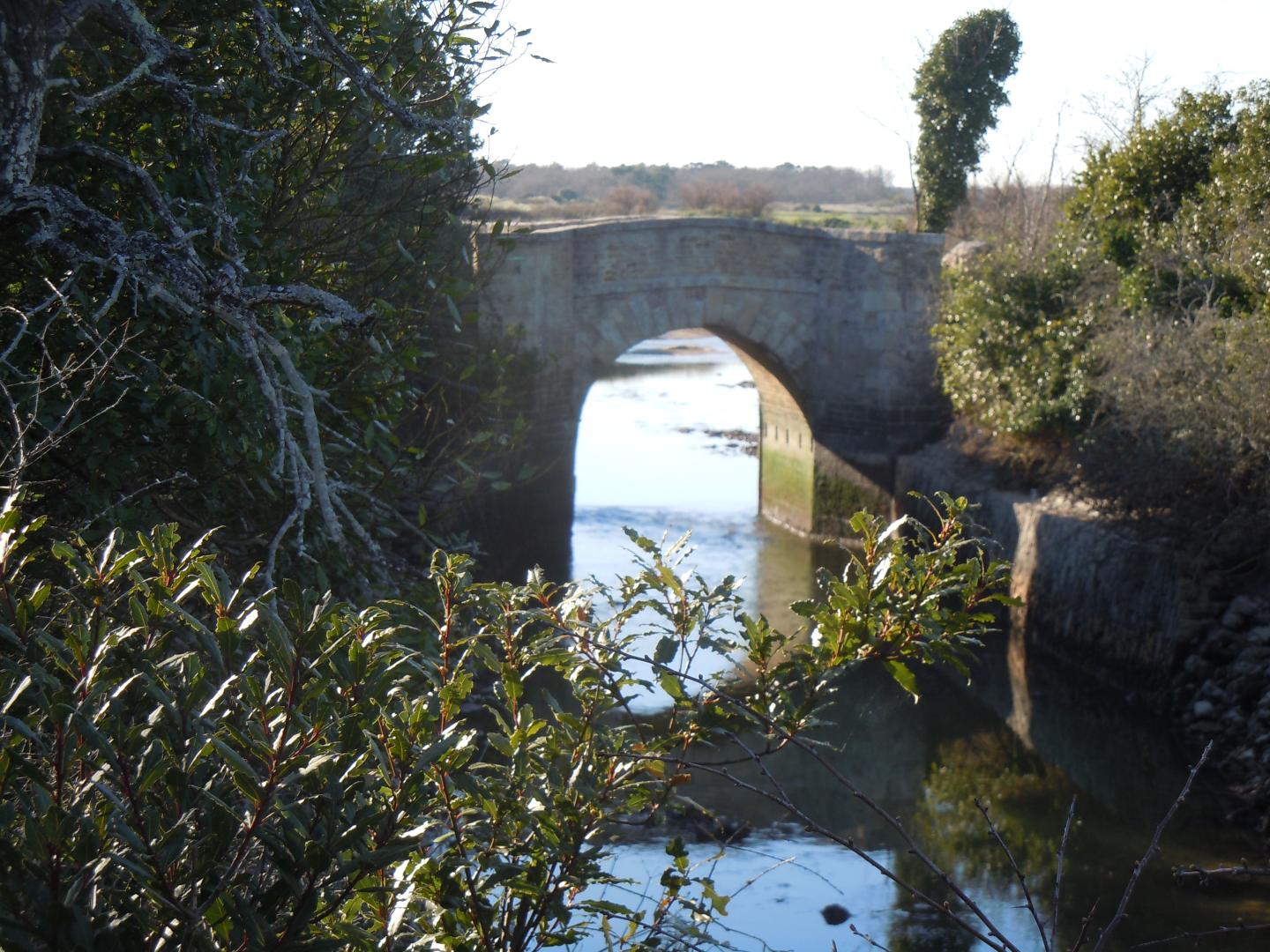 Le Pont Napoléon